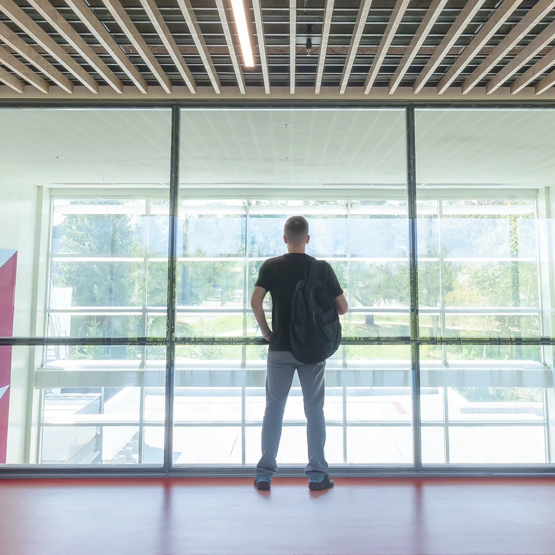 How Fire-Rated Glazing Elevated Safety, Daylight, and Design at Eric ...